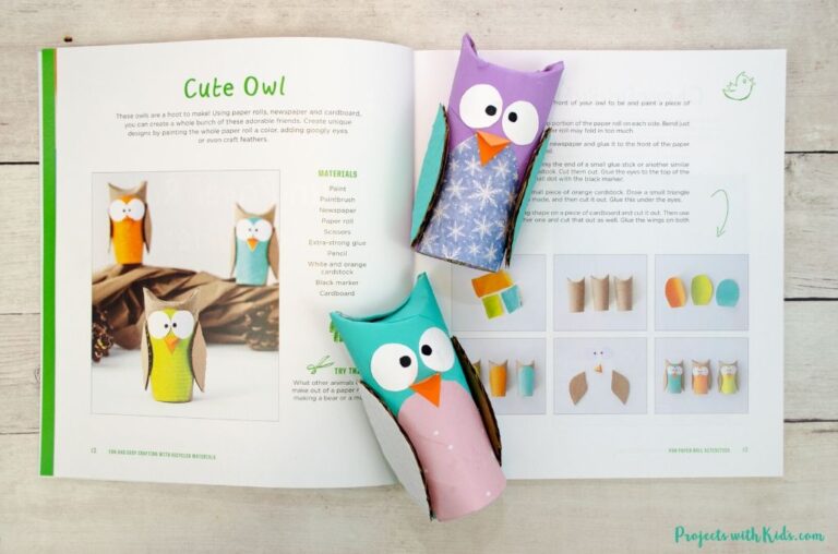 Adorable Toilet Paper Roll Owl Craft - Projects with Kids