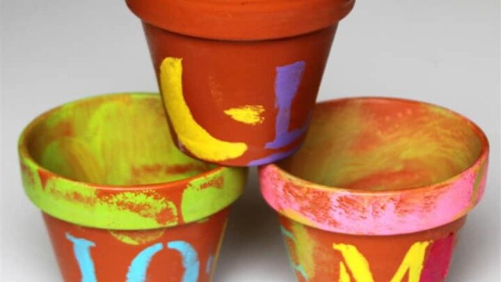 15+ Awesome Flower Pot Painting Ideas Kids can Make - Projects with Kids