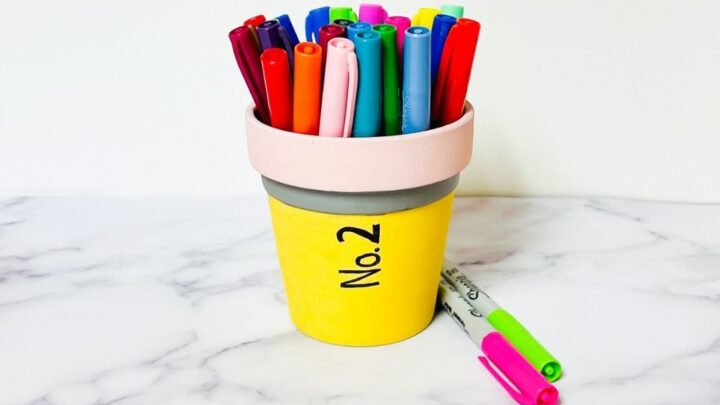 15+ Awesome Flower Pot Painting Ideas Kids can Make - Projects with Kids